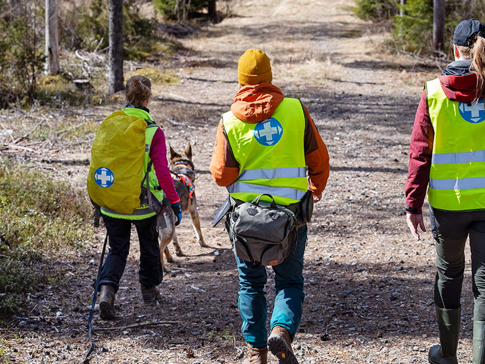 Näin varaudut metsässä eksymiseen – valmistaudu marjastus- tai ...